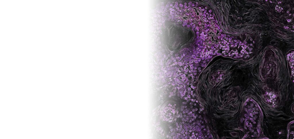 Clinical trial documentation: Challenges, solutions, and best practices ...